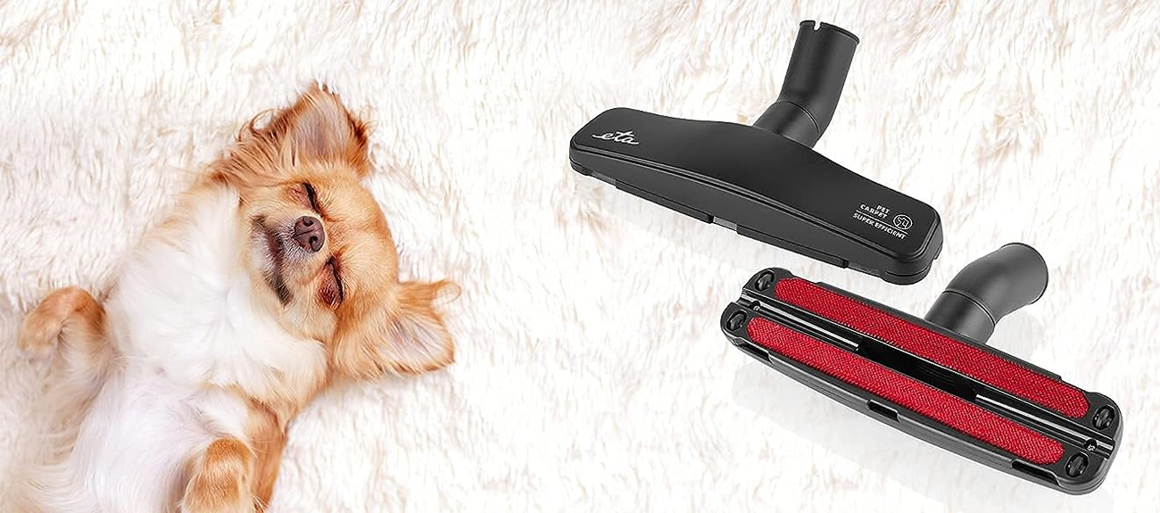 Eta Avanto White - Odkurzacze - Sklep internetowy - al.to